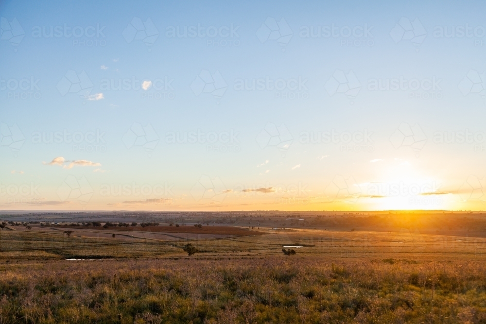 Image of Sunset with sun on horizon over grassy farm paddock with clear ...