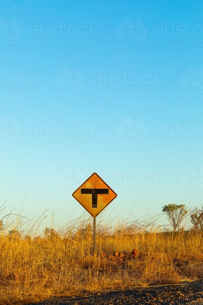 Image of T-junction sign in long dry grass with blue sky above ...