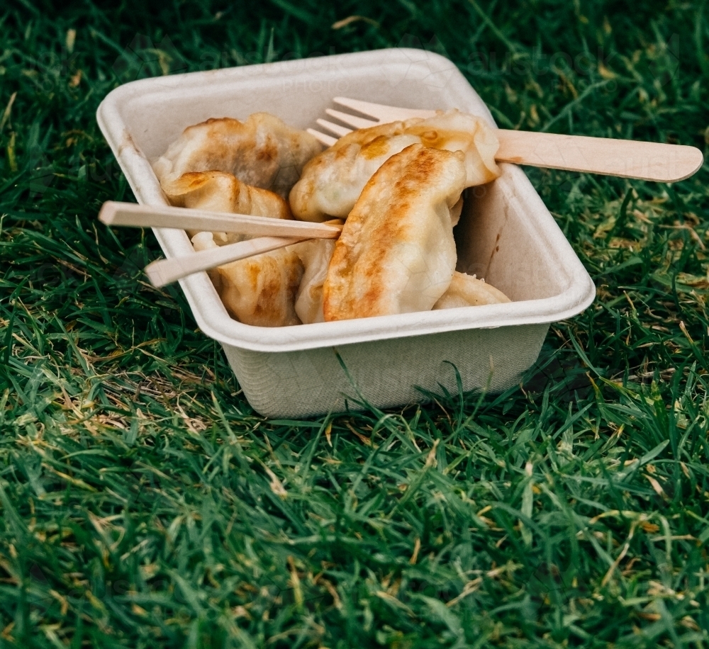 Image of takeaway dumplings - Austockphoto