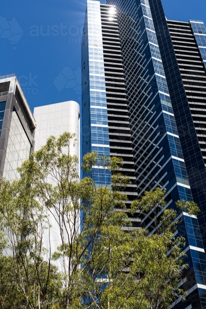 Image of Tall buildings in the central business district of melbourne ...
