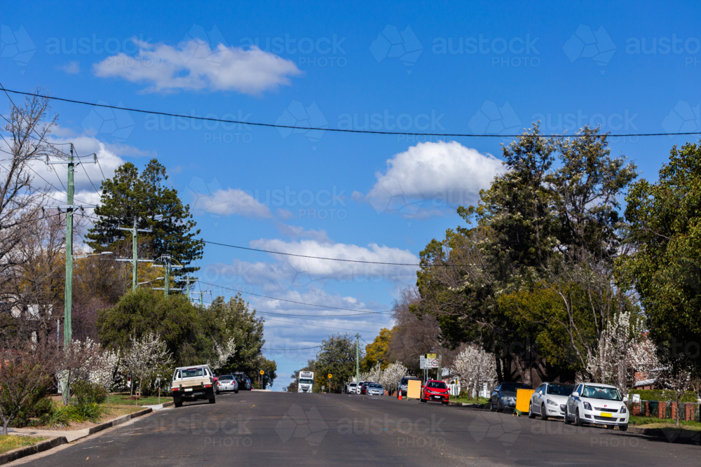 Image of Tamworth streetscape in winter with spring blossoms beginning ...