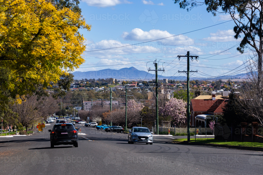 Image of Tamworth streetscape in winter with trees beginning to flower ...