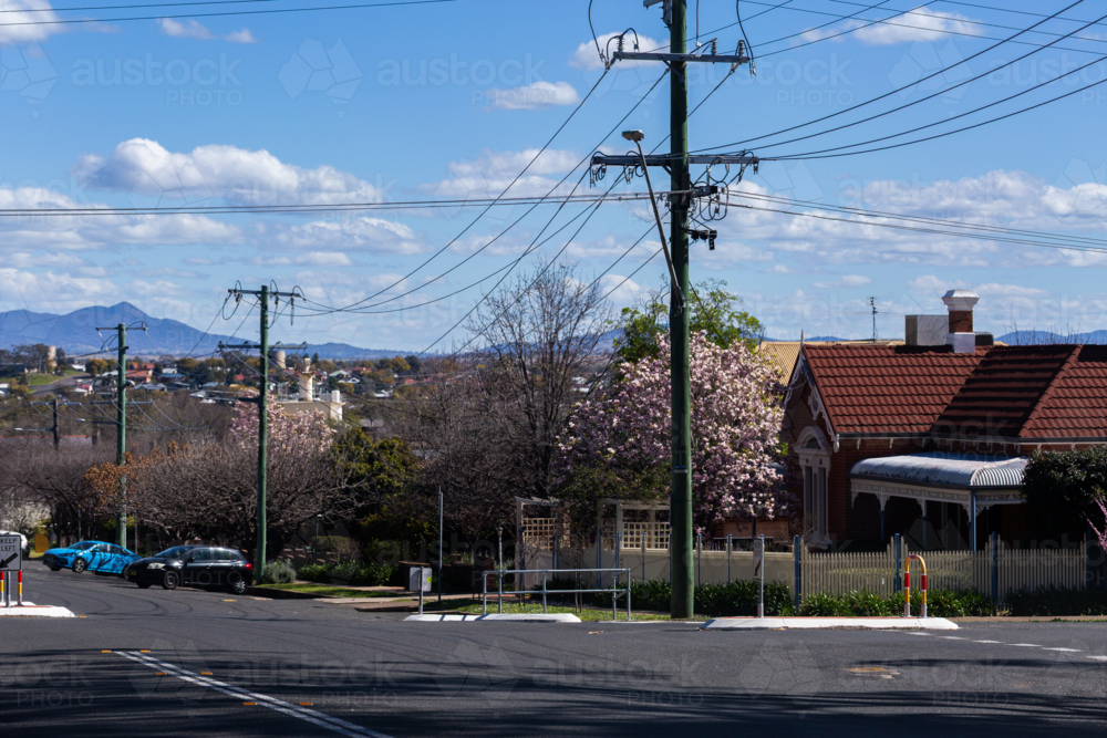 Image of Tamworth streetscape in winter with trees beginning to flower ...