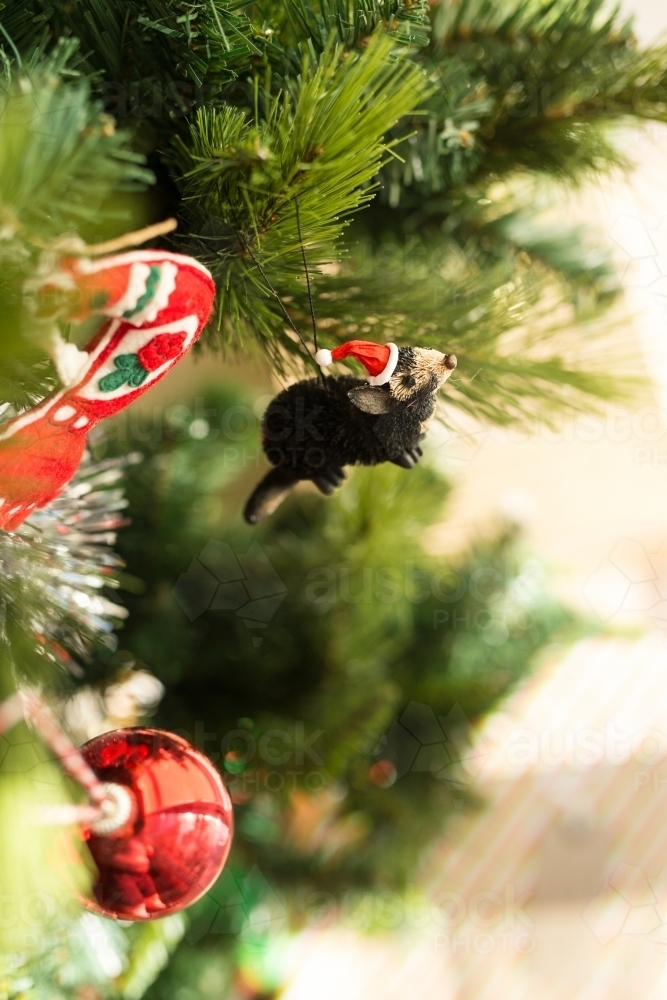 Image of tassie devil christmas decoration hanging on a tree - Austockphoto