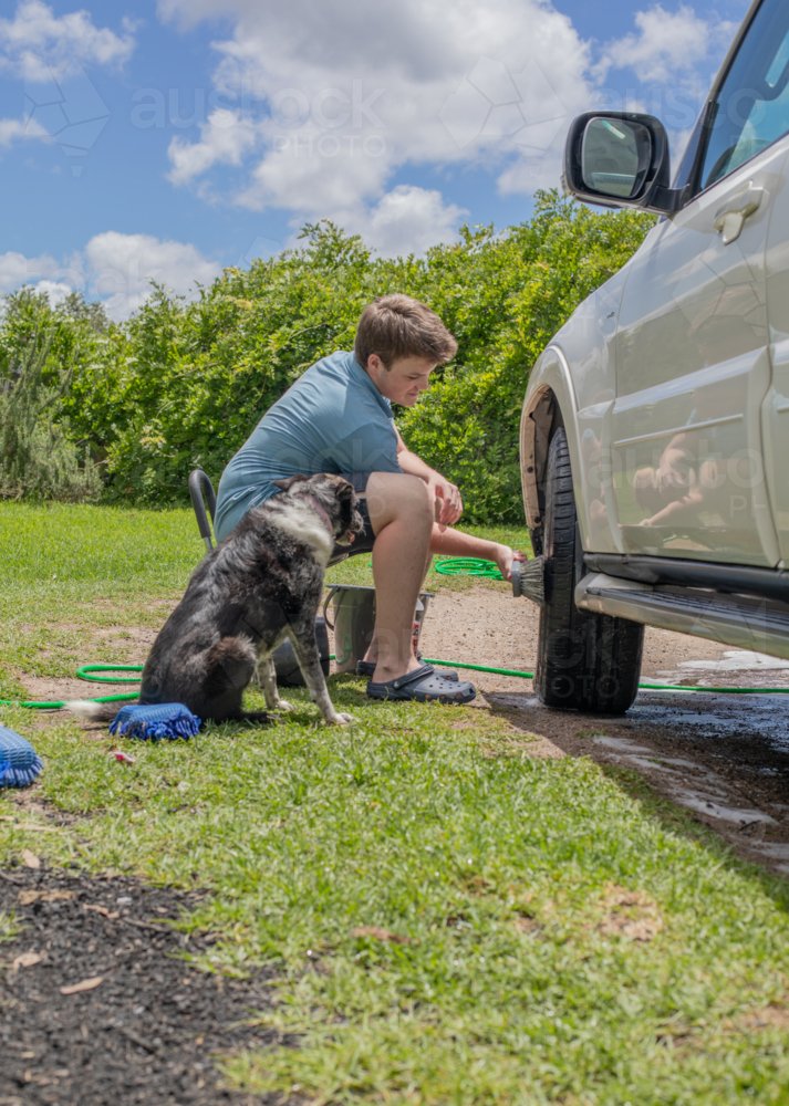 Image of Teen boy cleaning car wheel with his dog watching - Austockphoto