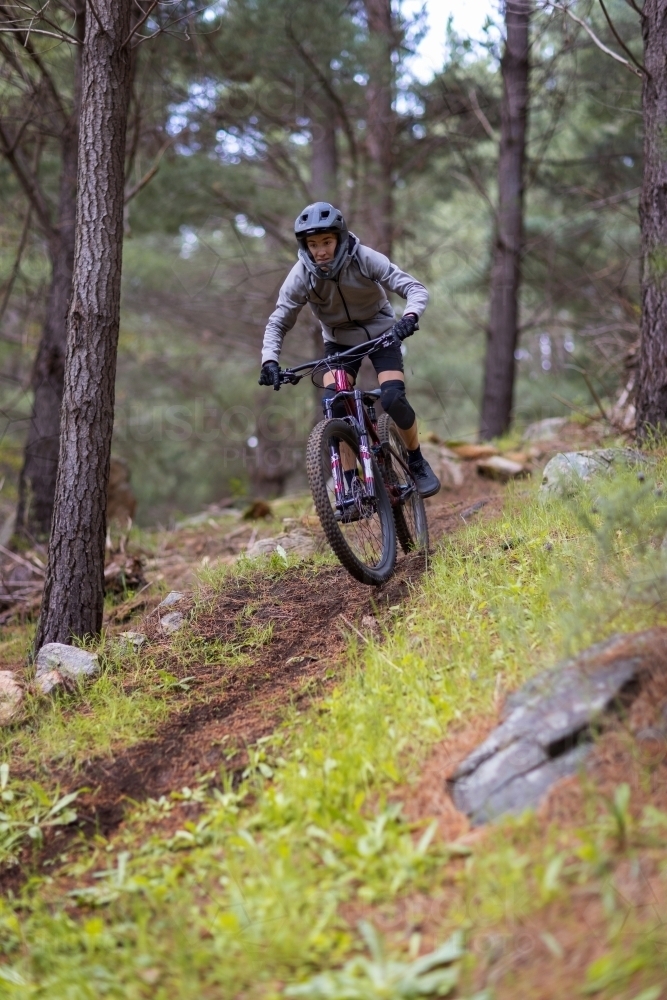 Image of teen boy riding a mountain bike downhill through pine forest ...