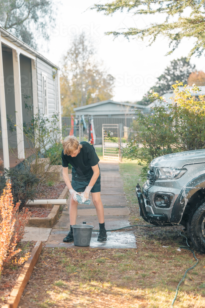 Image of Teen boy ringing out sponge into bucket of soapy water while ...