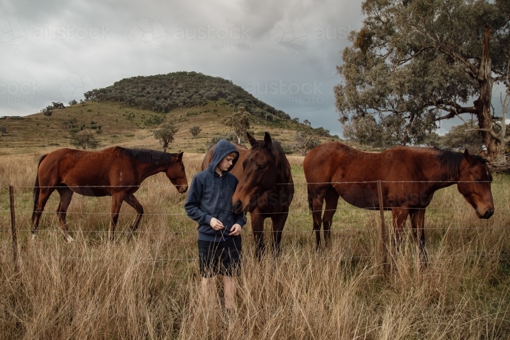 Image of Teen boy standing at farm fence interacting with horses ...