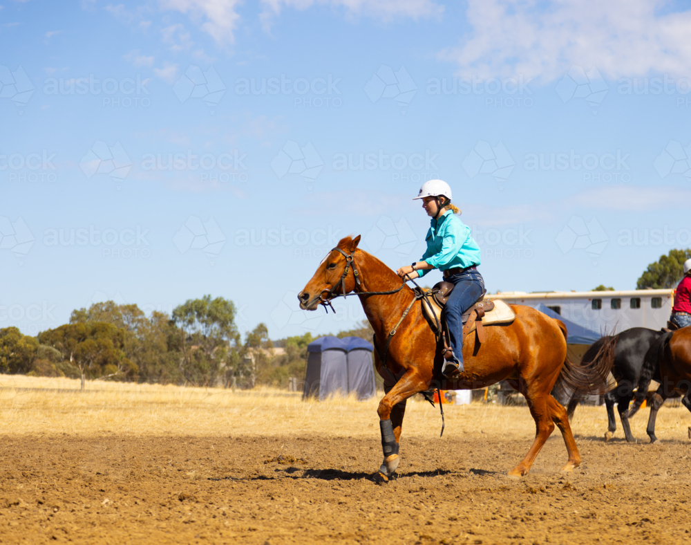 Image of teen girl riding chestnut horse preparing for campdraft ...