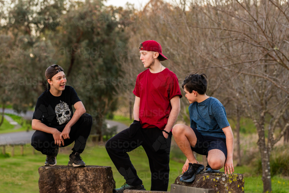 Image of Teenaged and pre teen boys crouched on rocks at park chatting ...