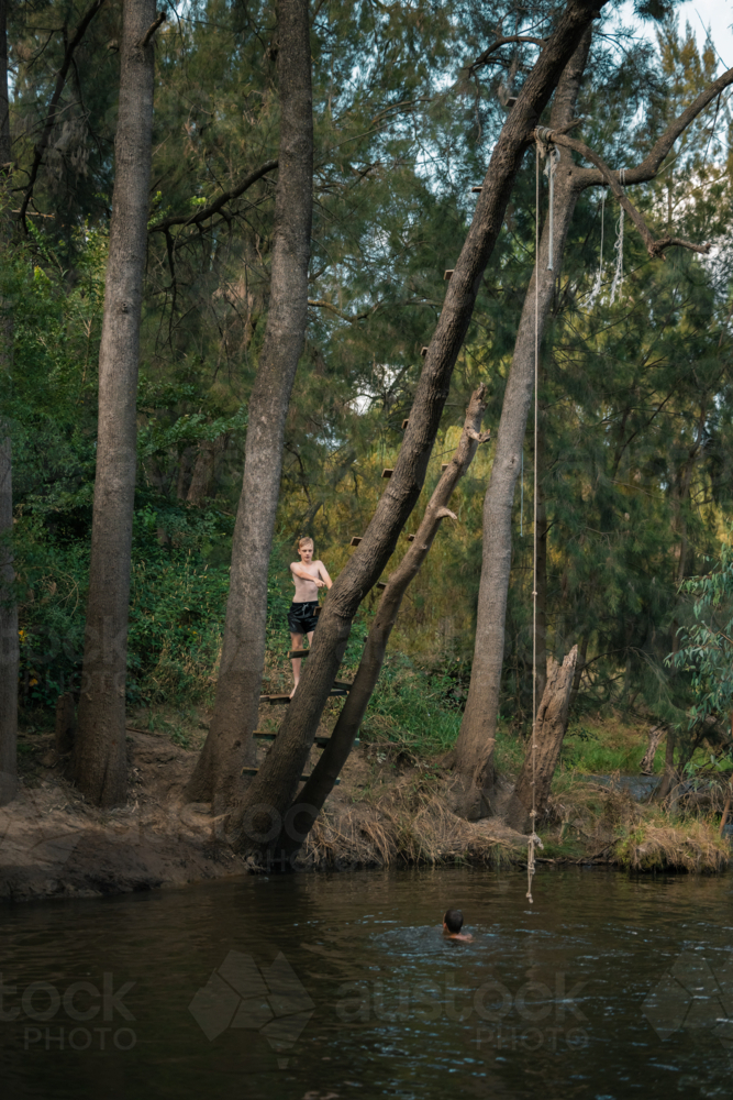 Image of Teenagers climbing tree with rope swing at the river ...