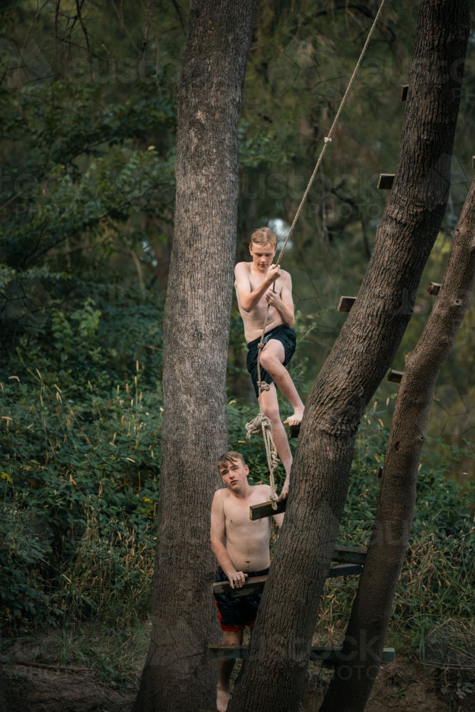 Image of Teenagers climbing tree with rope swing at the river ...