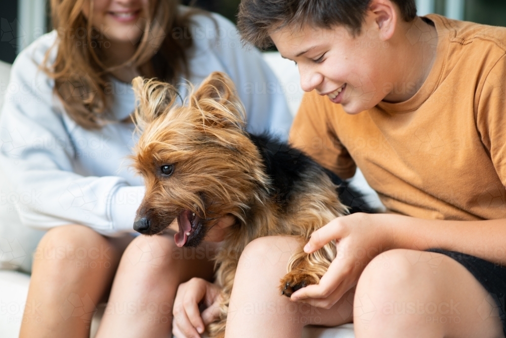 Image of teens with their dog, australian terrier - Austockphoto