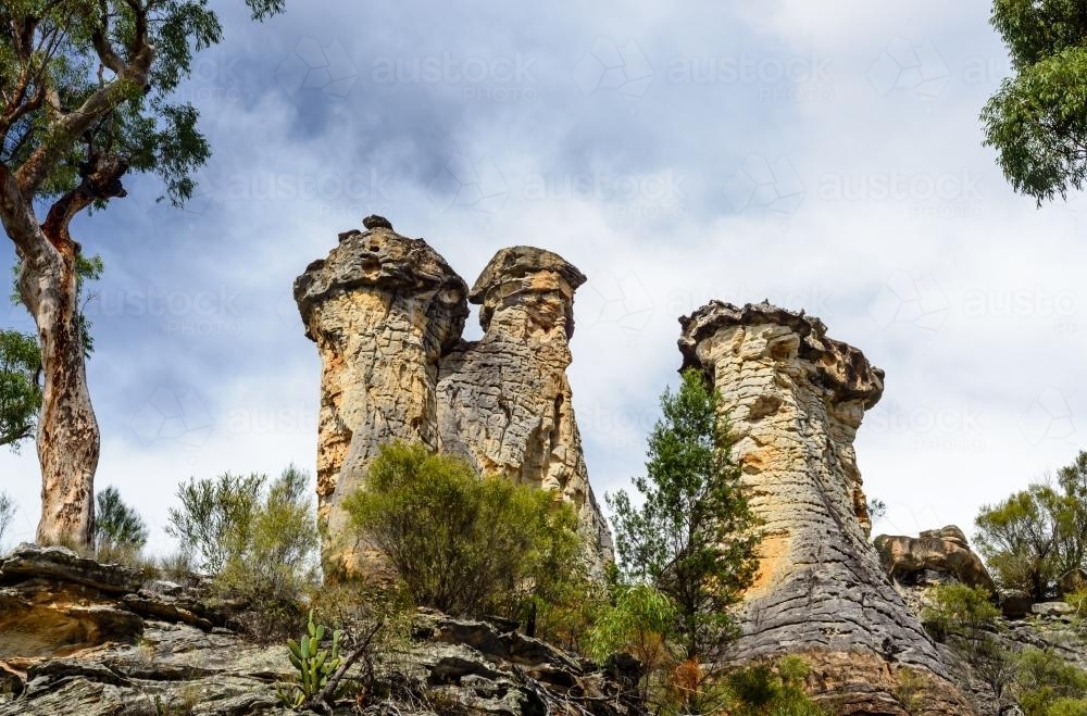Image of The Chimneys are striking pillars of Precipice Sandstone at Mt ...