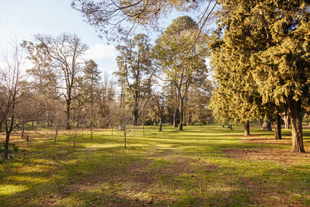 Image of The famous Castlemaine Botanical Gardens on a warm spring ...