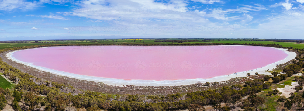 Image of The famous Lake Lochiel, otherwise known as Pink Lake near ...