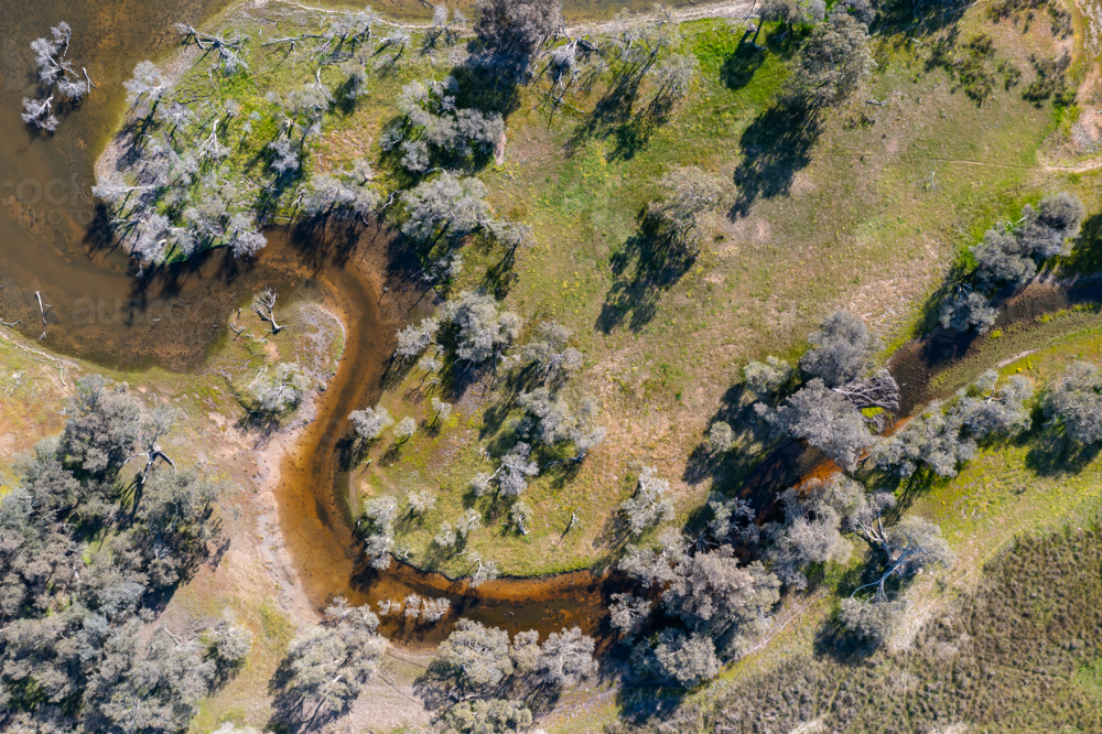 Image of the sinuous curve of a creek flowing into a lake seen from ...