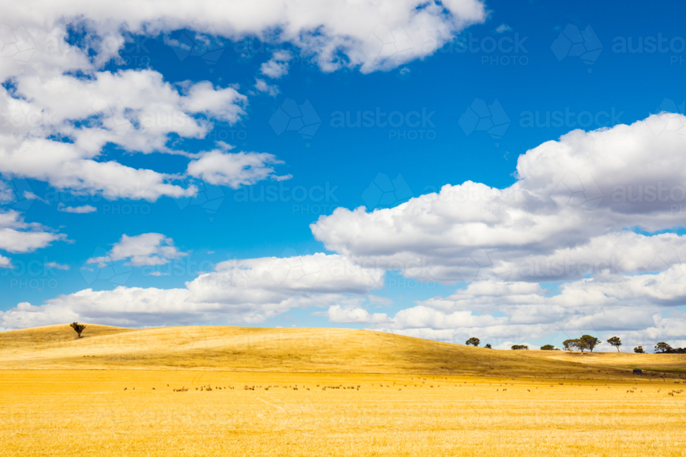 Image of The vast expanse of farm fields in the Moolort Plains near the ...