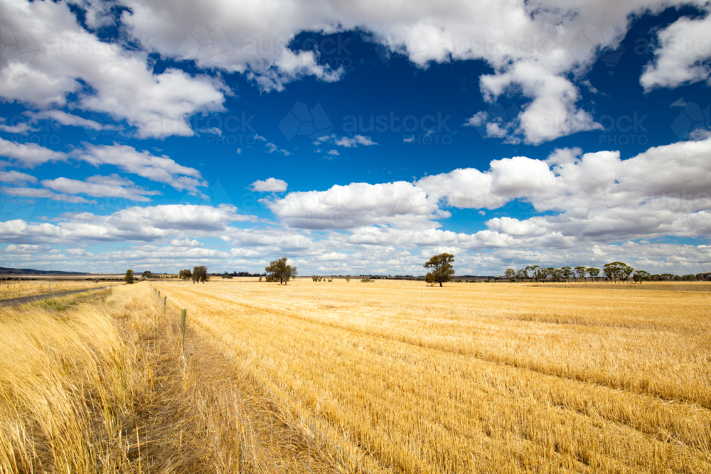 Image of The vast expanse of farm fields in the Moolort Plains near the ...