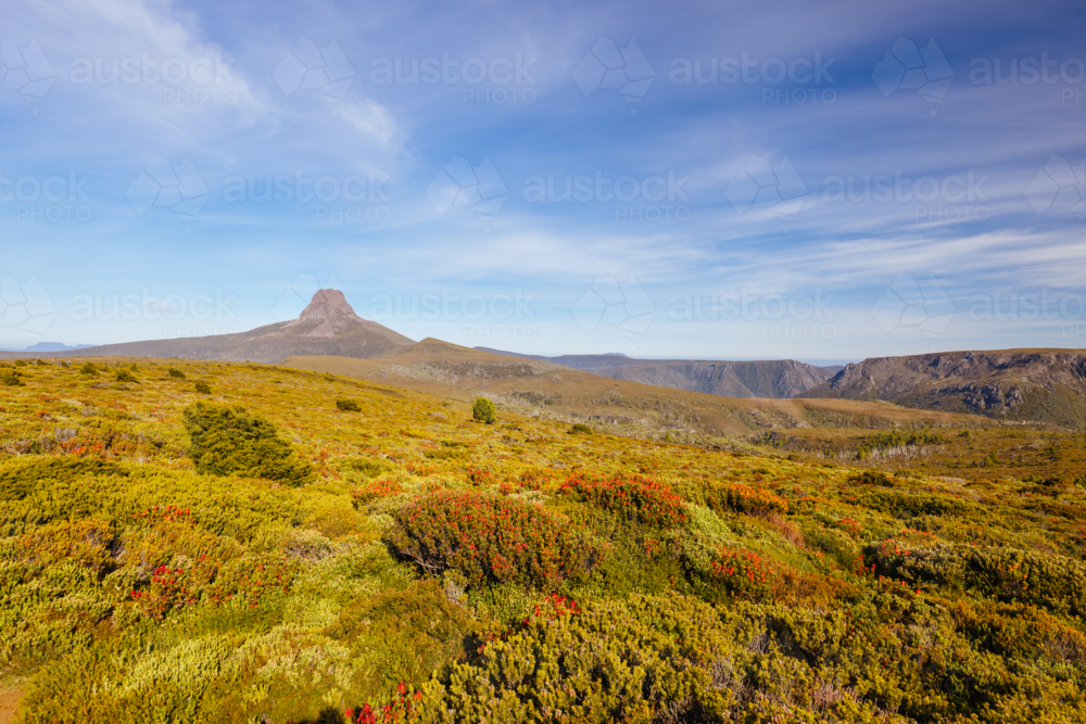 Image of The wide landscape views early in the morning of Barn Bluff ...