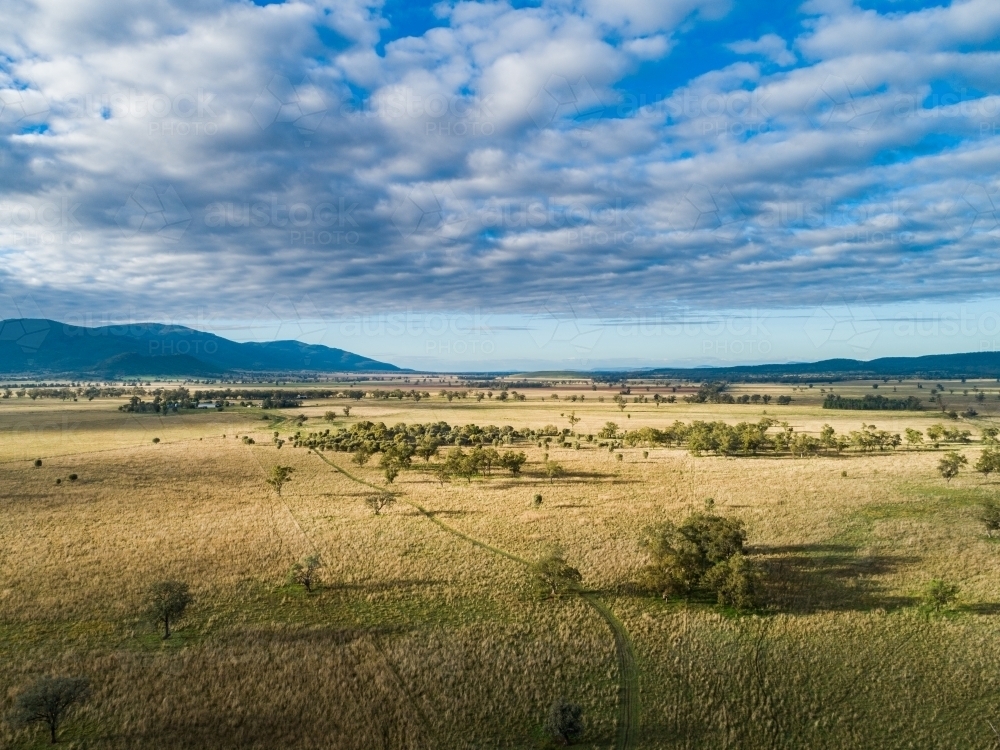 Image of Thin track through wide open farm paddock landscape - Austockphoto