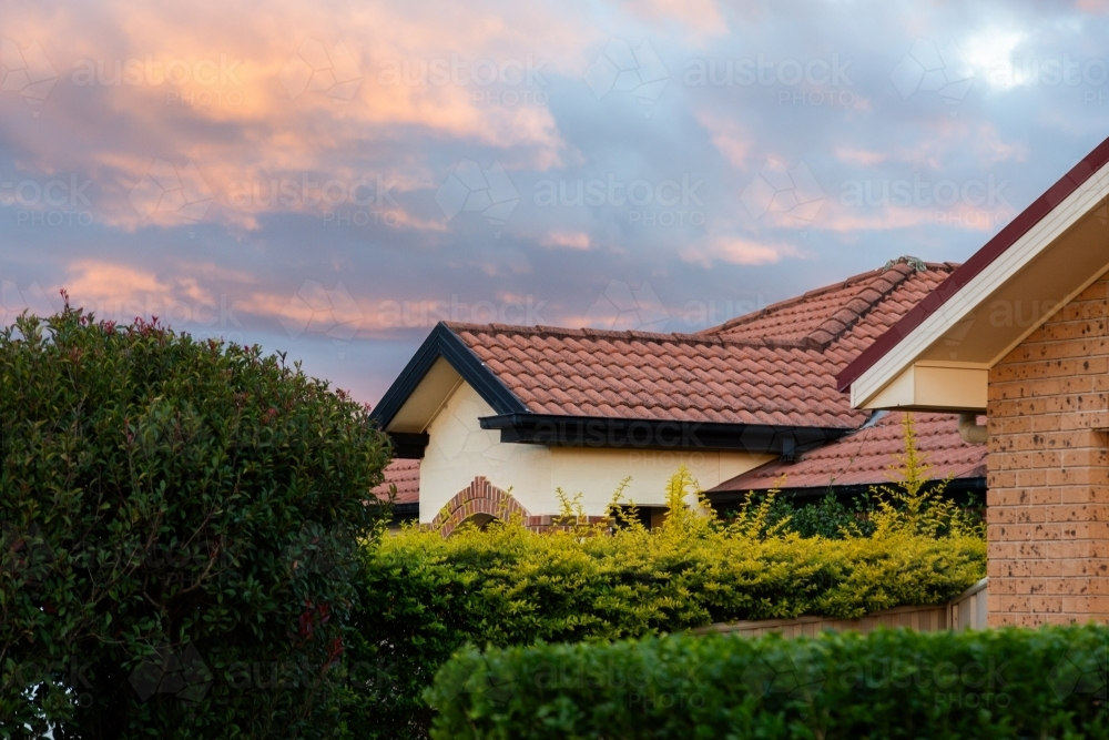 Image of Tiled rooves of houses and hedges at dusk - Austockphoto