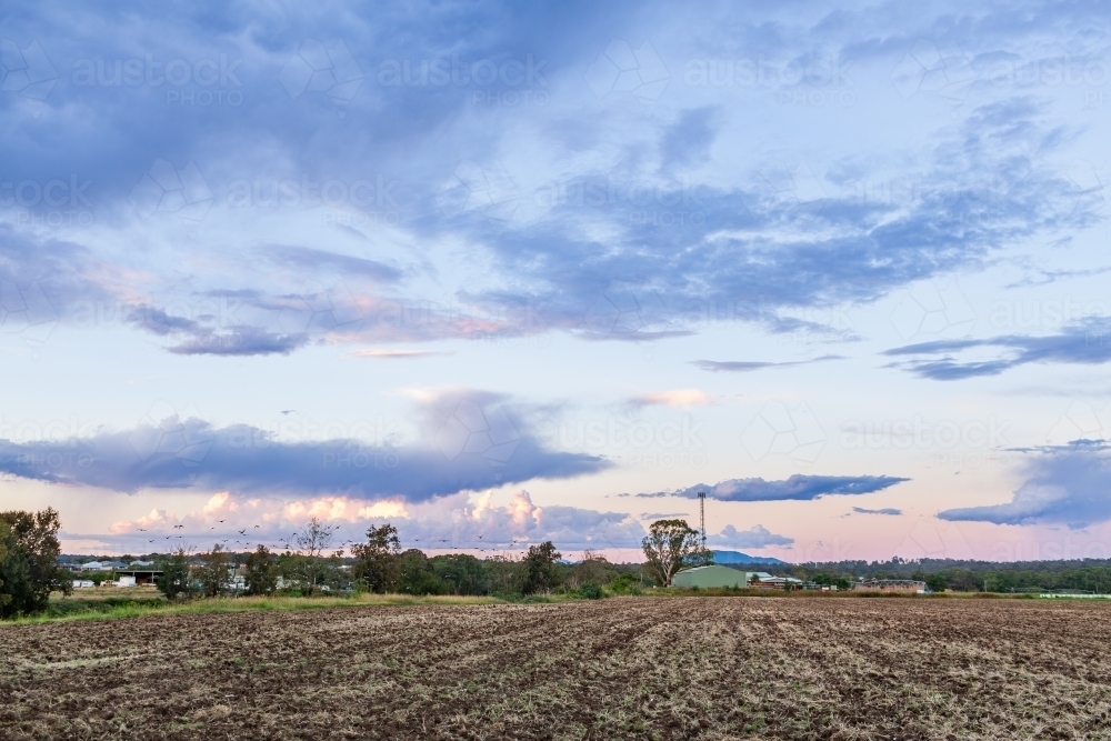 Image of Tilled soil in farm paddock for agricultural use - Austockphoto