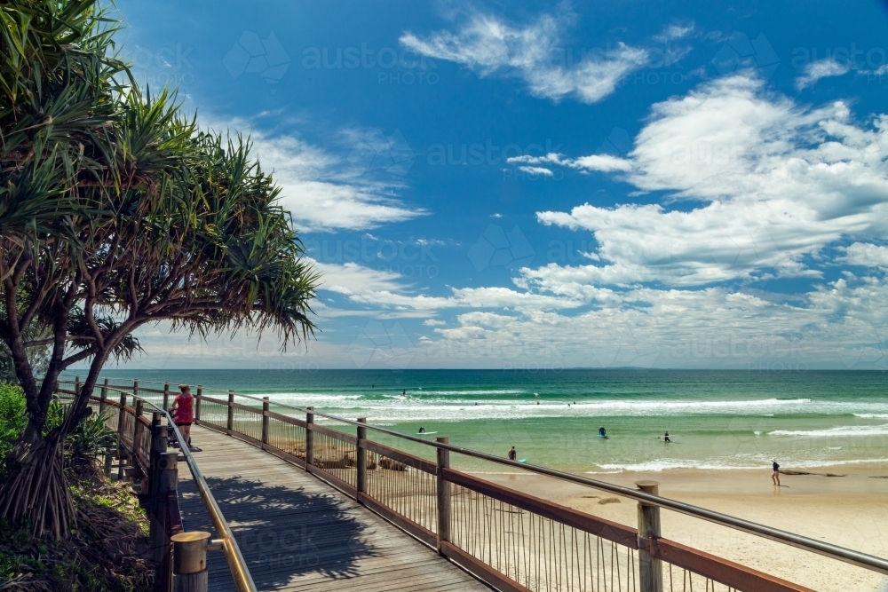 Image of Timber boardwalk and pandanus palm trees by the sea at Caloundra in Queensland ...