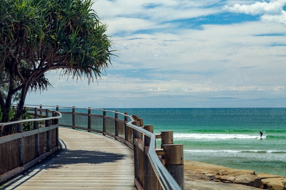 Image of Timber boardwalk and pandanus palm trees by the sea at ...