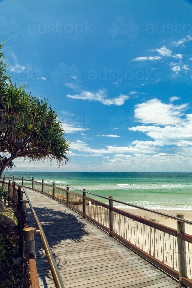 Image of Timber boardwalk and pandanus palm trees by the sea at ...