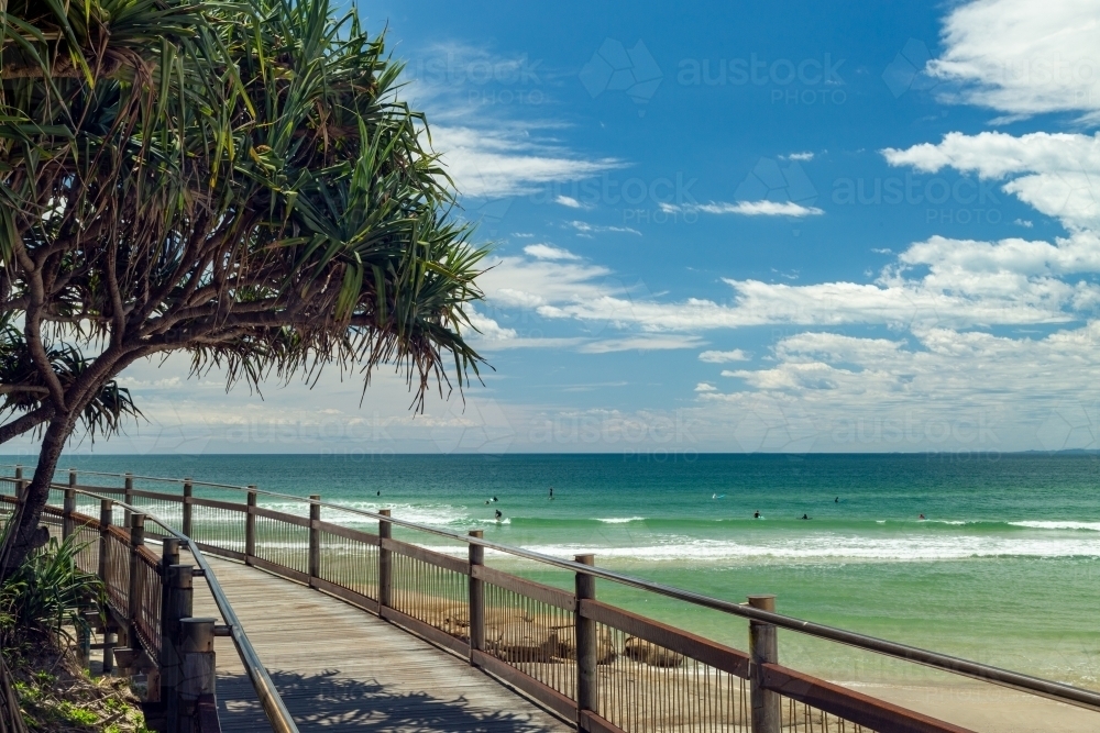 Image of Timber boardwalk and pandanus palm trees by the sea at Caloundra, Queensland ...