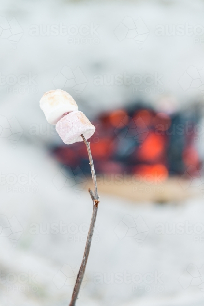 Image of toasting marshmallows over a camp fire - Austockphoto