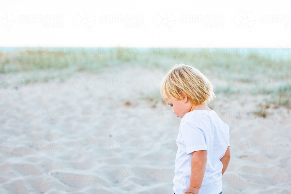 Image of Toddler boy exploring Gold Coast beach - Austockphoto