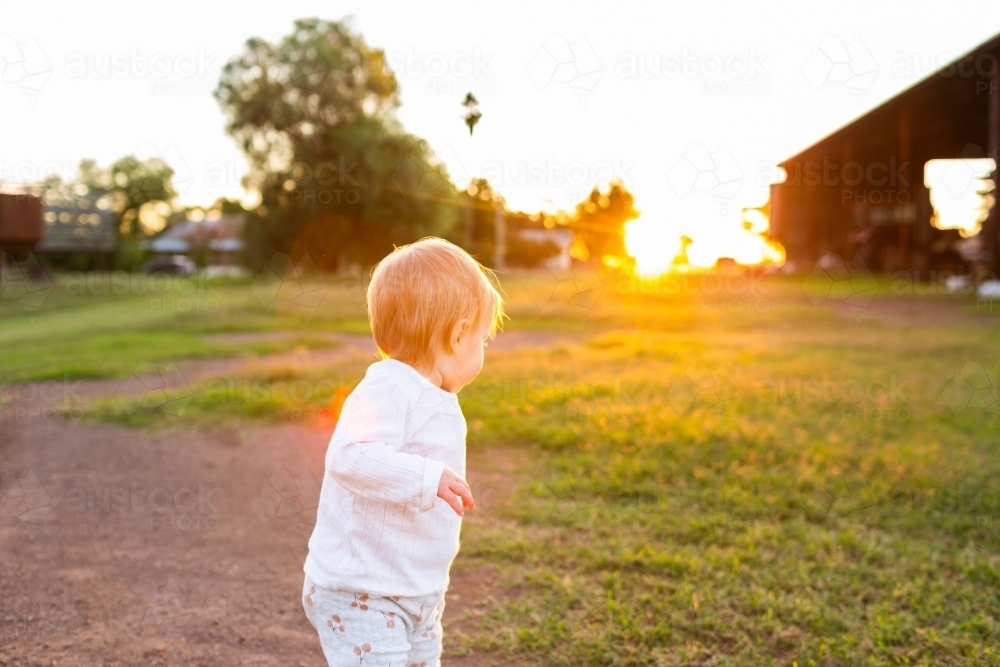 Image of Toddler country kid toddling around farm at sunset - Austockphoto