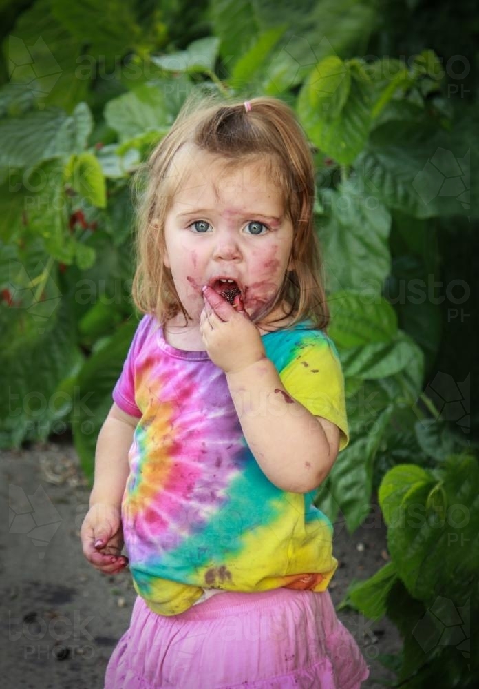 Image of Toddler eating mulberries with mulberry juice all over her ...