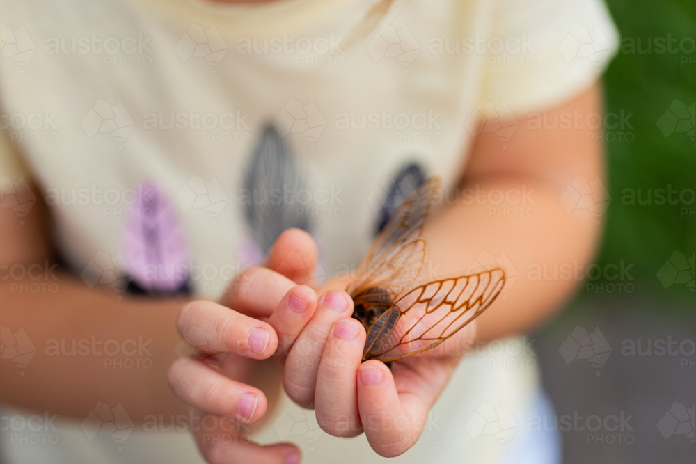 Image of Toddler girl out in nature holding dried out wings of cicada ...
