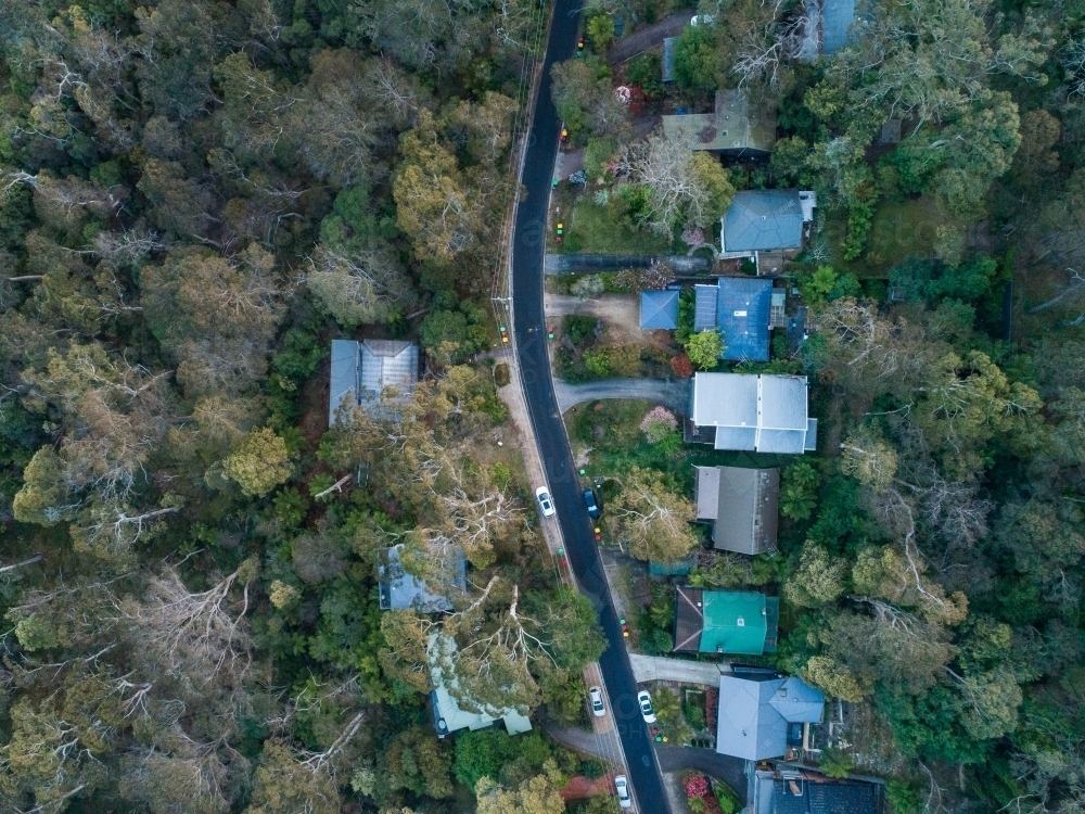 Image of Top down overhead aerial view of homes surrounded by bushland ...