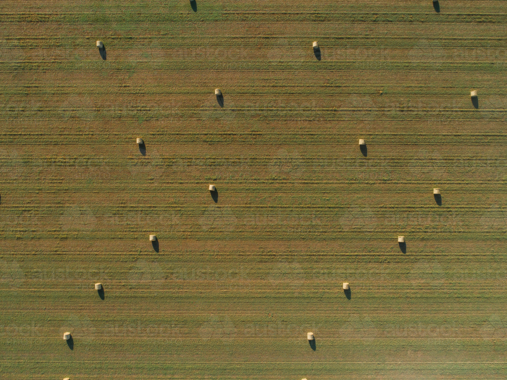 Image of Top down overhead aerial view of round hay bales in farm ...