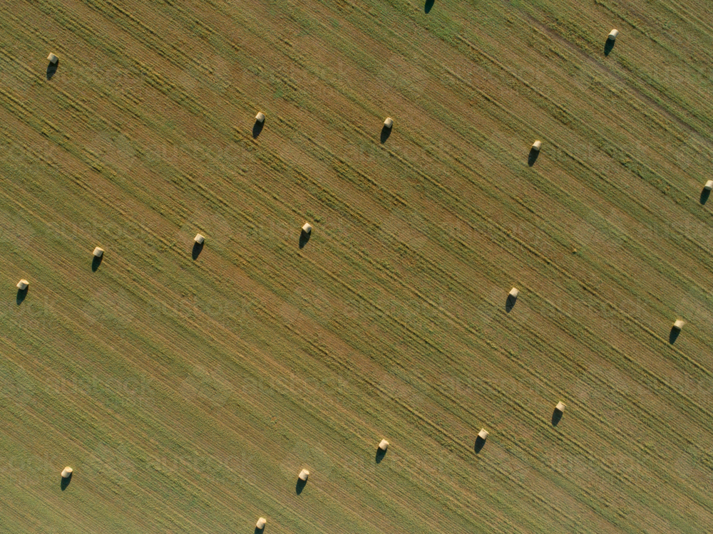Image of Top down overhead aerial view of round hay bales in farm ...