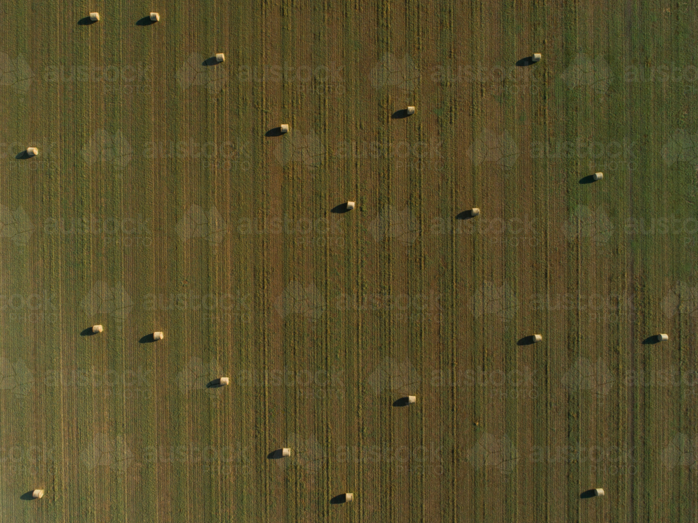 Image of Top down overhead aerial view of round hay bales in farm ...