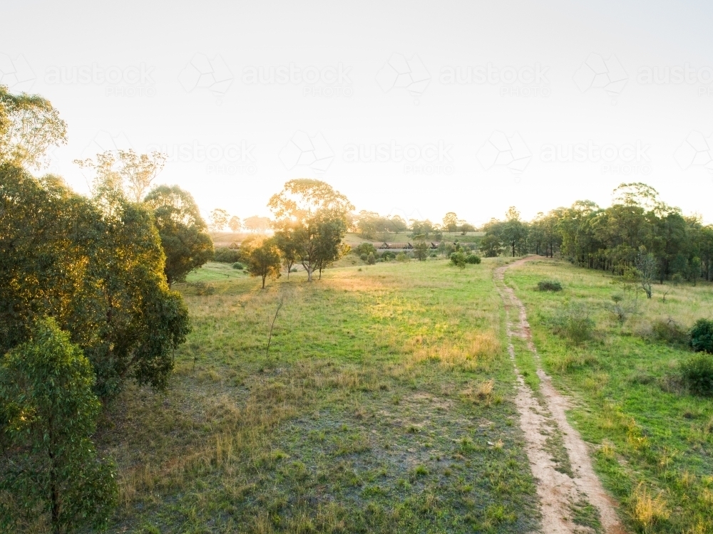 Image of Track through green paddock towards the sunset - Austockphoto