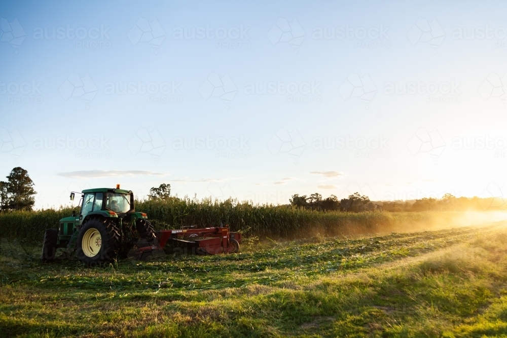 Image of Tractor cutting windrows of forage crop on farm - Austockphoto
