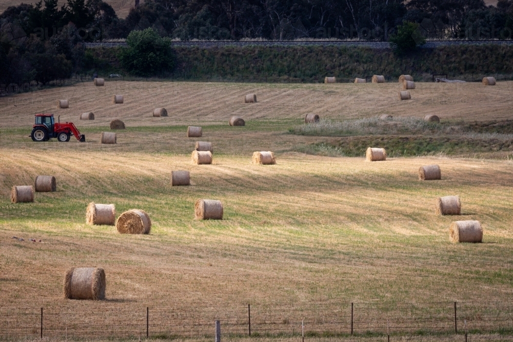 Image of Tractor in a paddock about to pick up round bales of hay ...