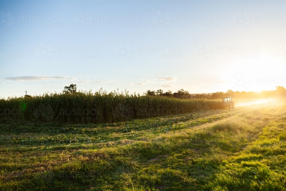 Image of Tractor in farm crop paddock at sunset - Austockphoto