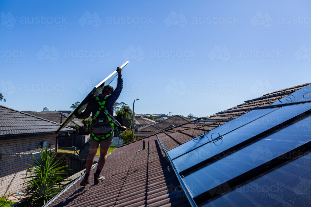 Image of Tradesman electrician carrying black bi-facial solar panels ...