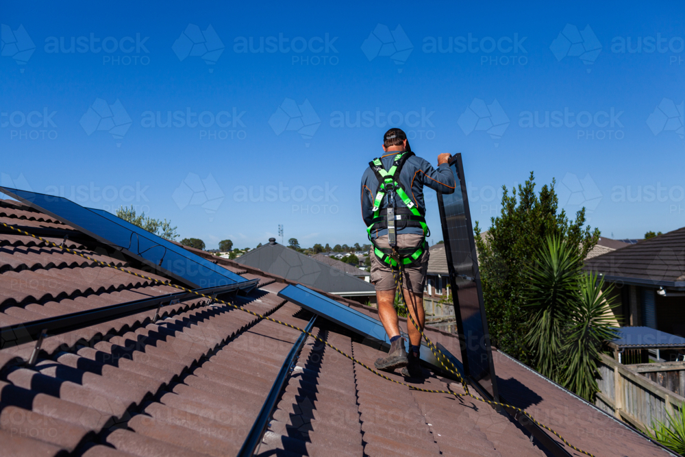Image of tradie climbing on roof of house wearing safety harness ...