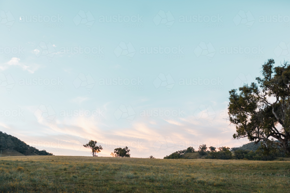 Image of Tranquil evening landscape in the rural Australian countryside ...
