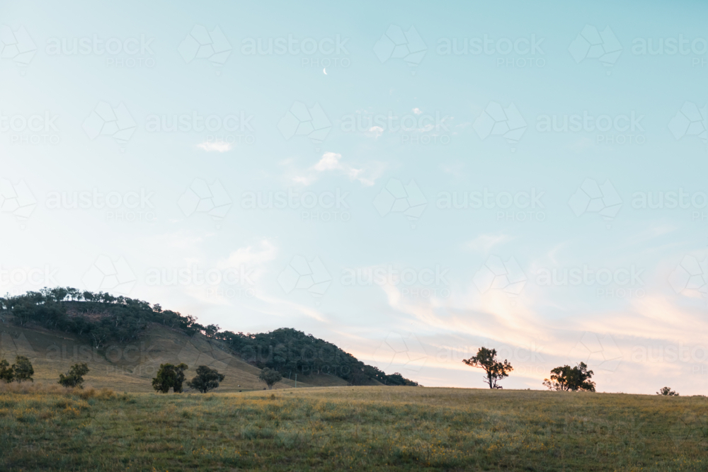 Image of Tranquil evening landscape in the rural Australian countryside ...