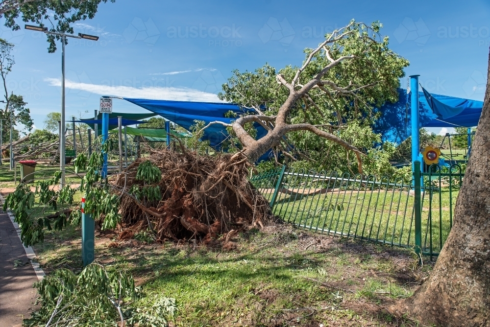 Image of Tree fallen on playground after cyclone - Austockphoto
