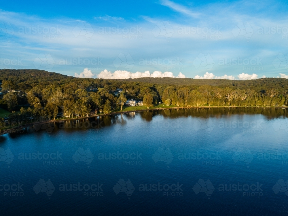 Image of trees along lake foreshore with fluffy white clouds behind and ...